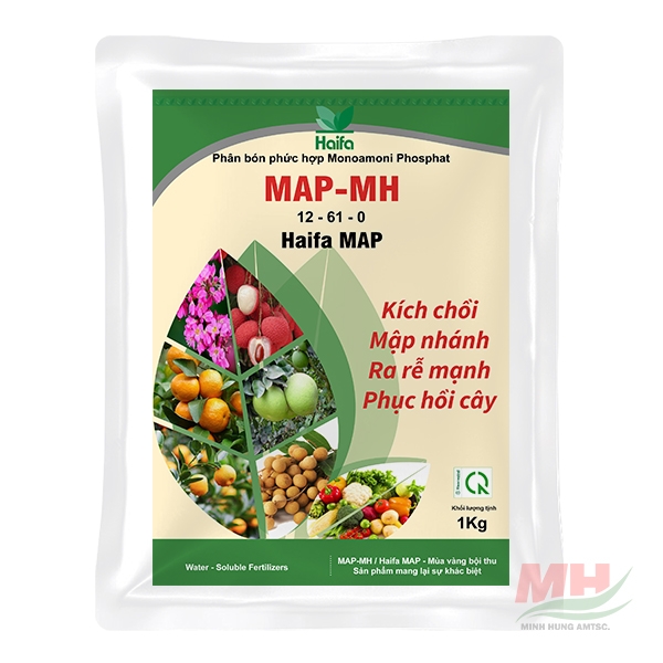 MAP-MH/ Haifa MAP (12-61-0)