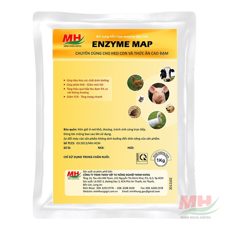 Enzyme MAP